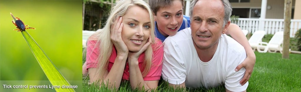 Outdoor Insect Control Westchester, Chappaqua, Armonk, Bedford